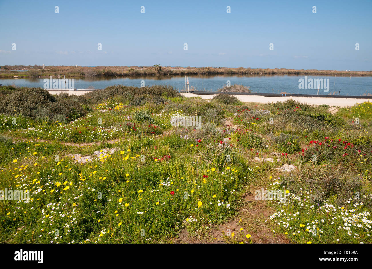 Fish ponds of Maagan Michael and Maayan Zvi Stock Photo - Alamy