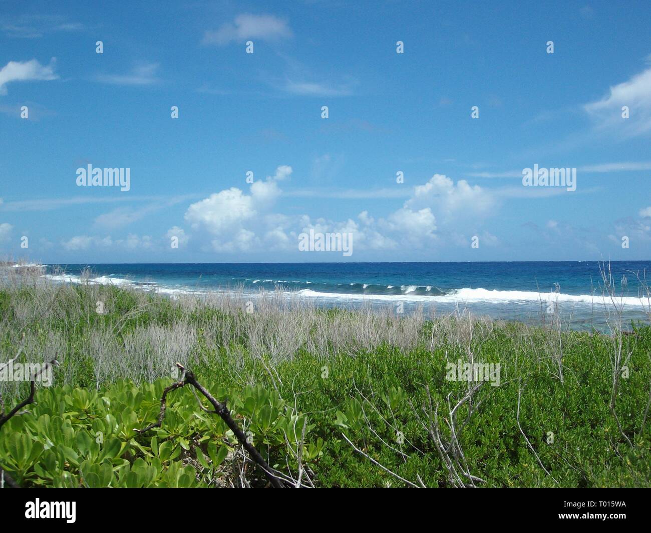 A scenic stretch of unpopulated beach lines along Cow Town in Marpi ...