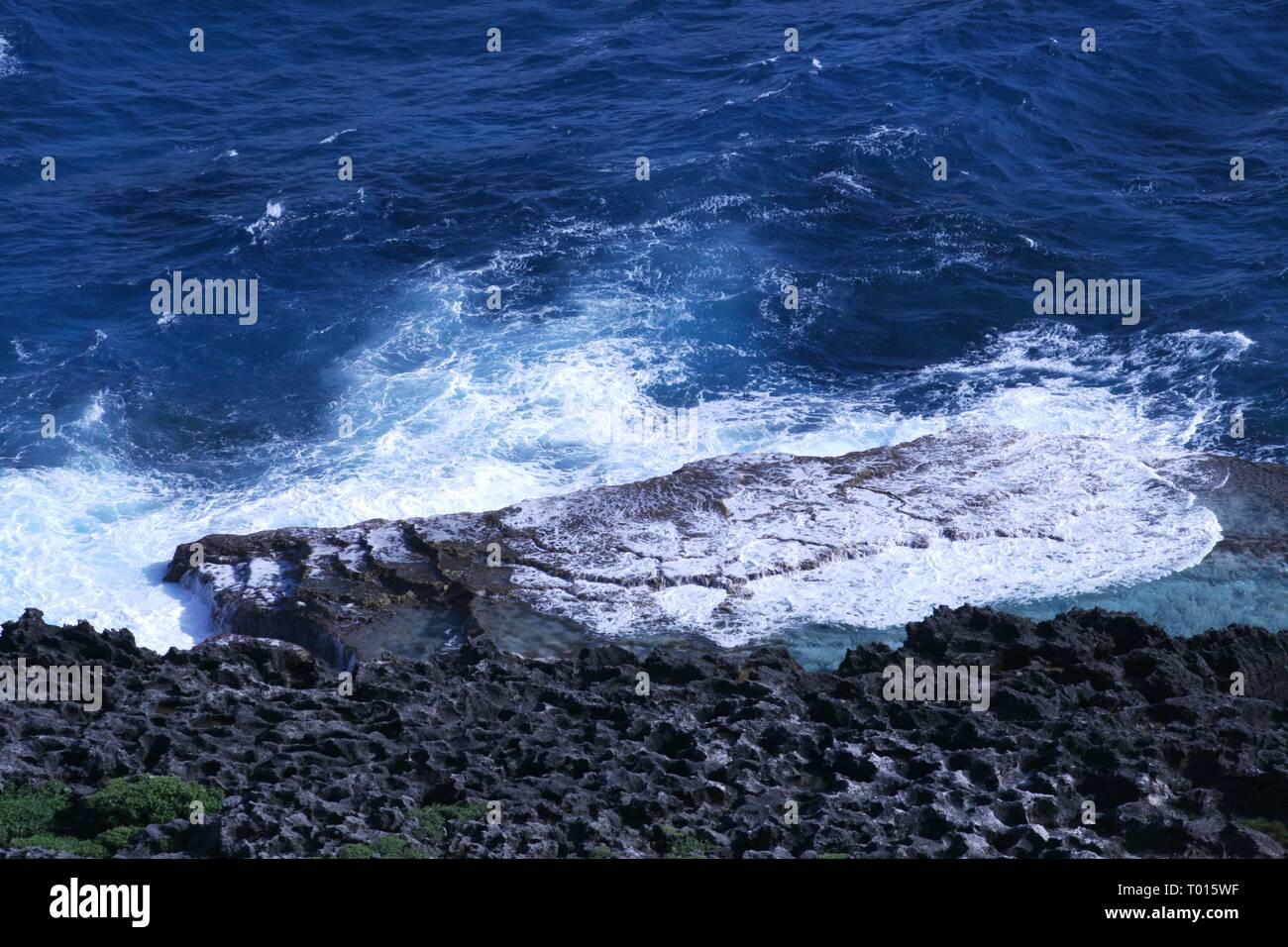 Beautiful coral platform and rock formations complete with gentle ...