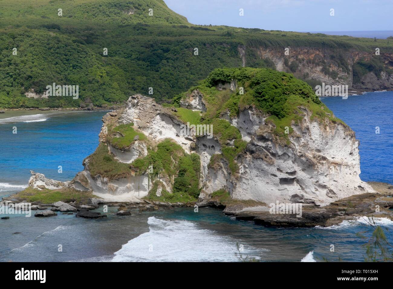 A closer look at the Bird Island with the reef and lagoon surrounding ...