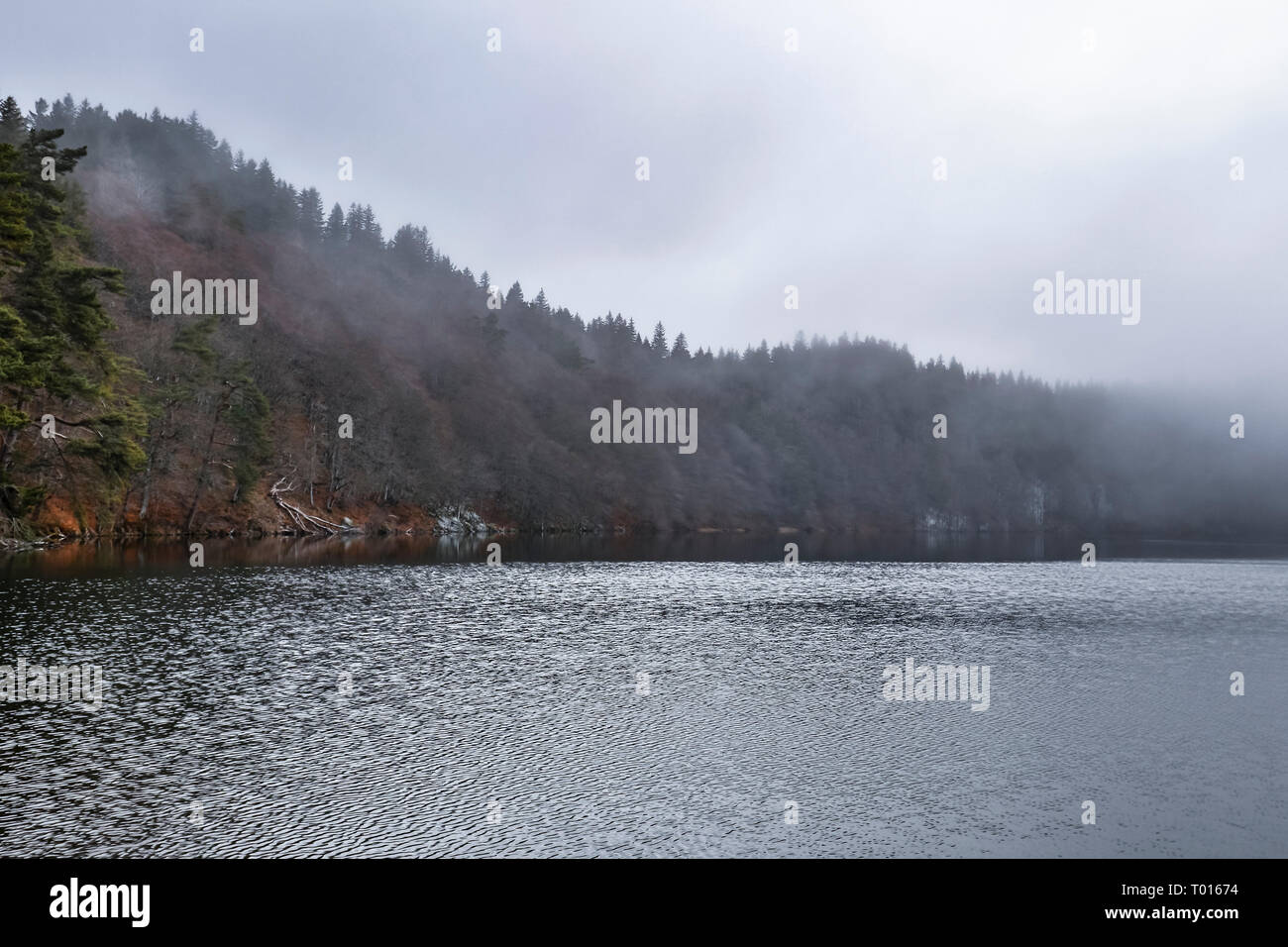 Lake of Pavin, Auvergne, France Stock Photo - Alamy