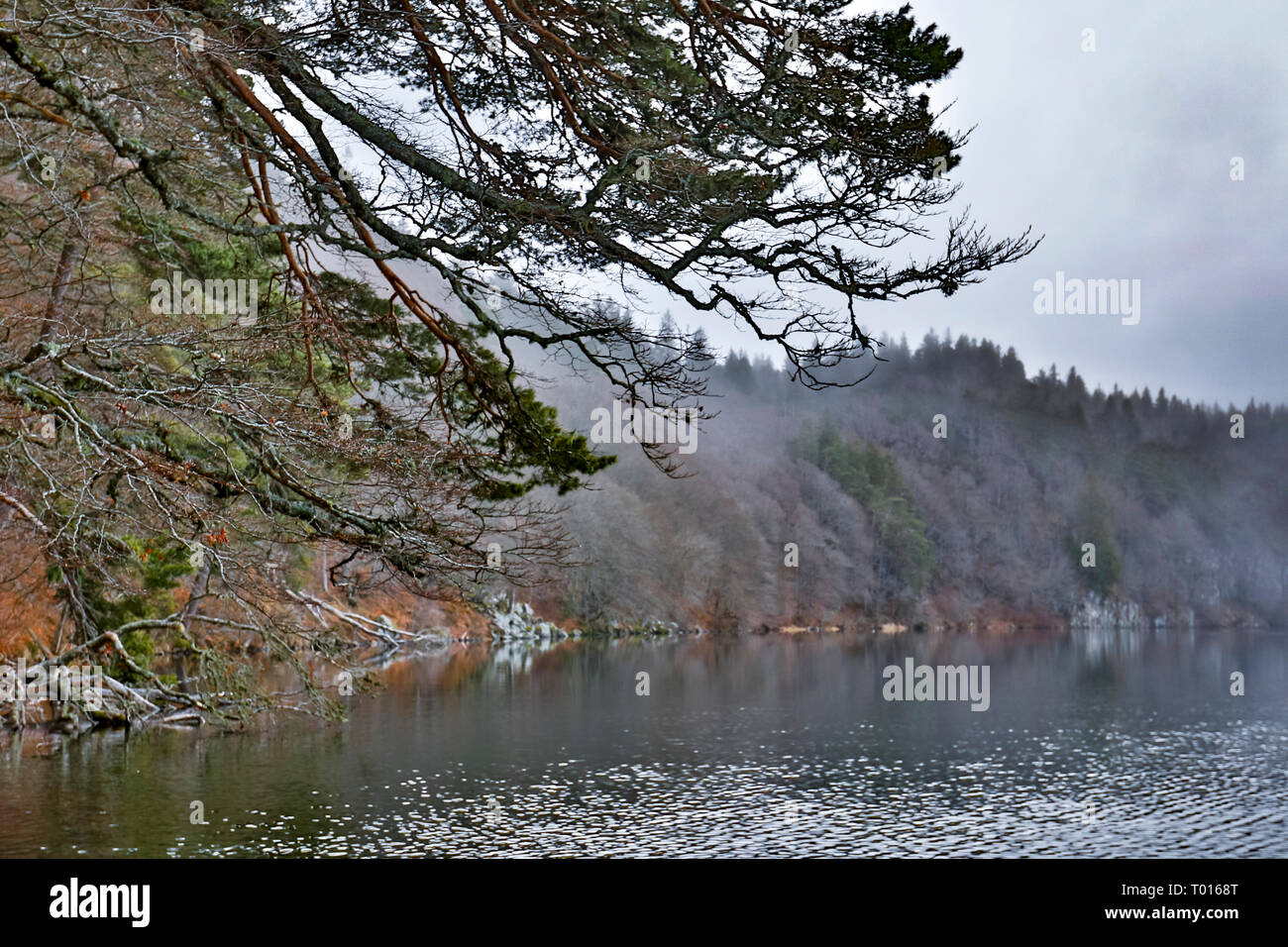 Lac de pavin hi-res stock photography and images - Alamy