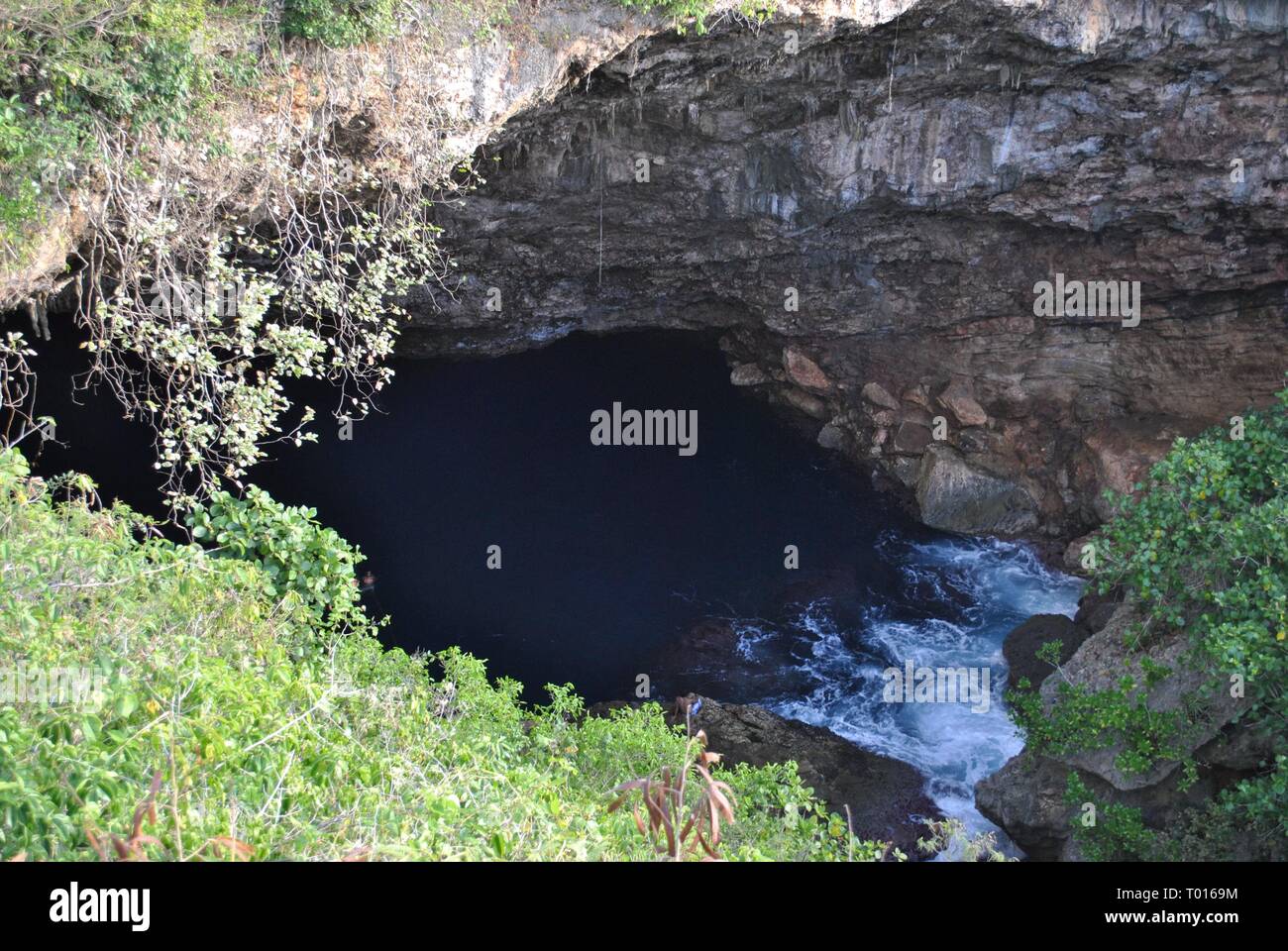 The Grotto is a unique diving spot which is a collapsed limestone ...
