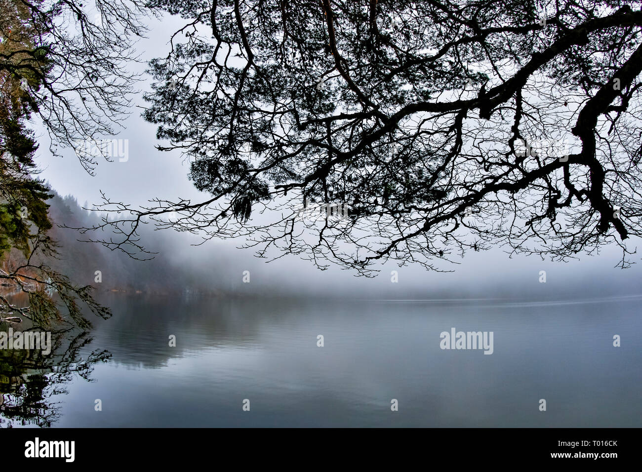 Lake of Pavin, Auvergne, France Stock Photo - Alamy