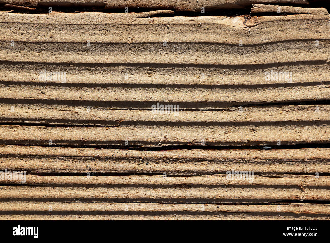 Wood fibers hi-res stock photography and images - Alamy