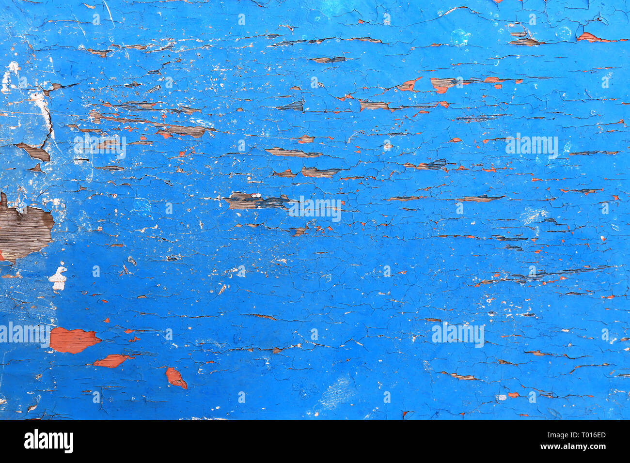 Blue painted wood texture. Weathered paint wooden board. Natural wood ...
