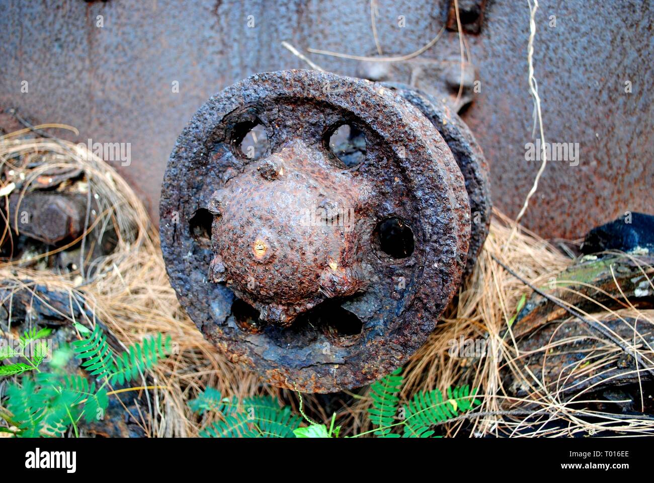 Rusty rim of a wheel from a world war 2 Japanese tanker at the Aslito ...