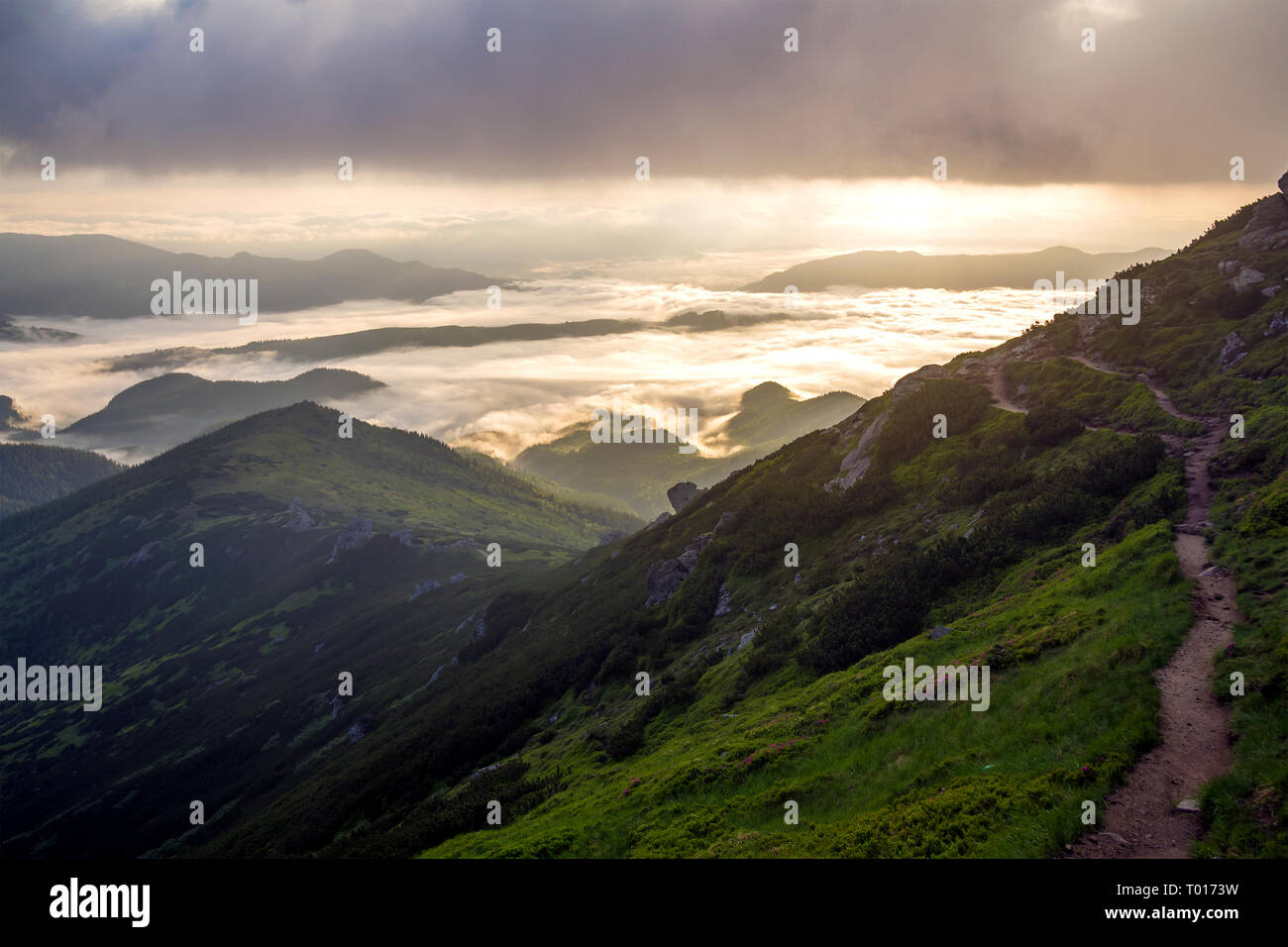 Fantastic view of mountain valley covered with low white puffy like ...