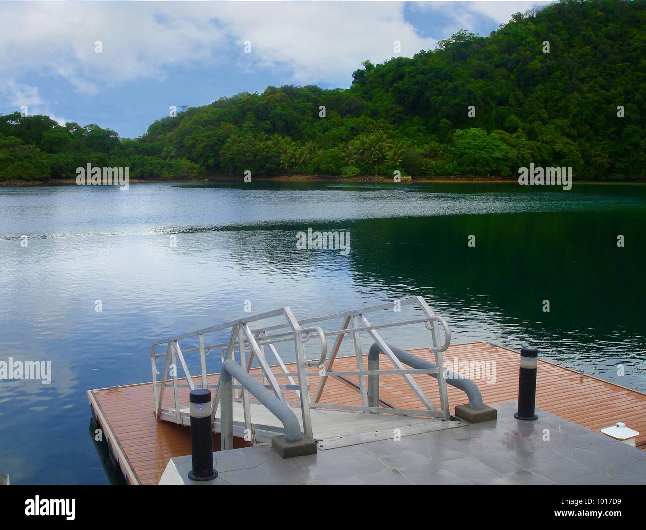 Wooden floating dock facing blue-green waters of a lake, with lush ...