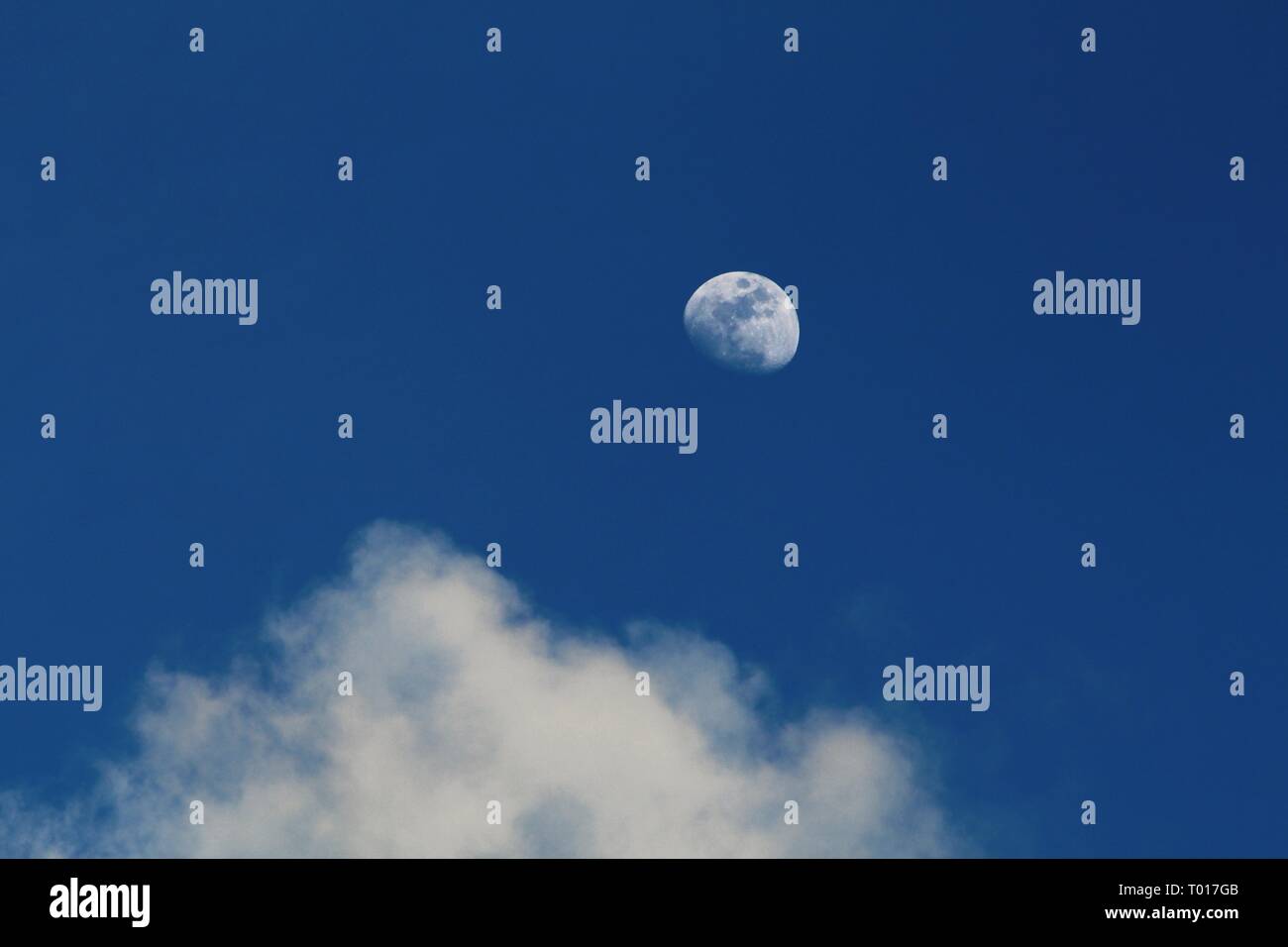 Quarter moon with white fluffy clouds in blue sky backdrop Stock Photo ...