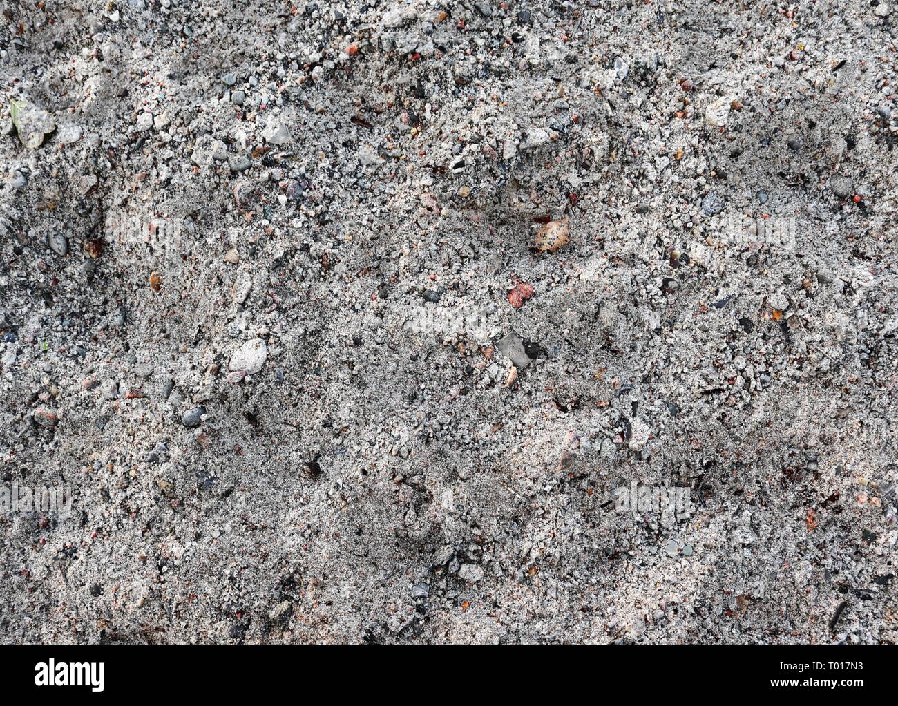 Close up of surface of sand at the baltic sea beach in high resolution ...