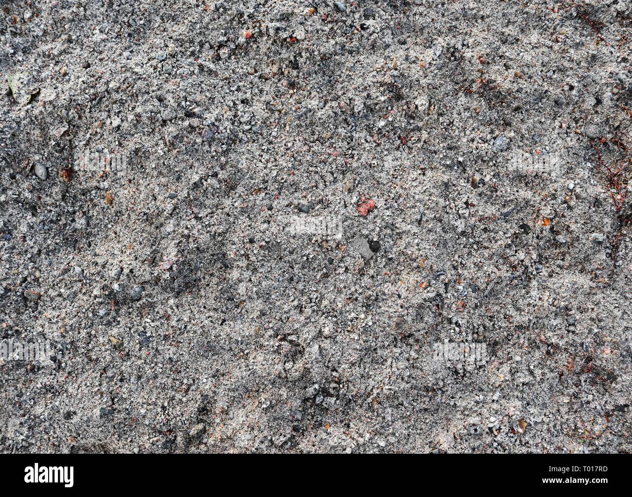 Close up of surface of sand at the baltic sea beach in high resolution ...