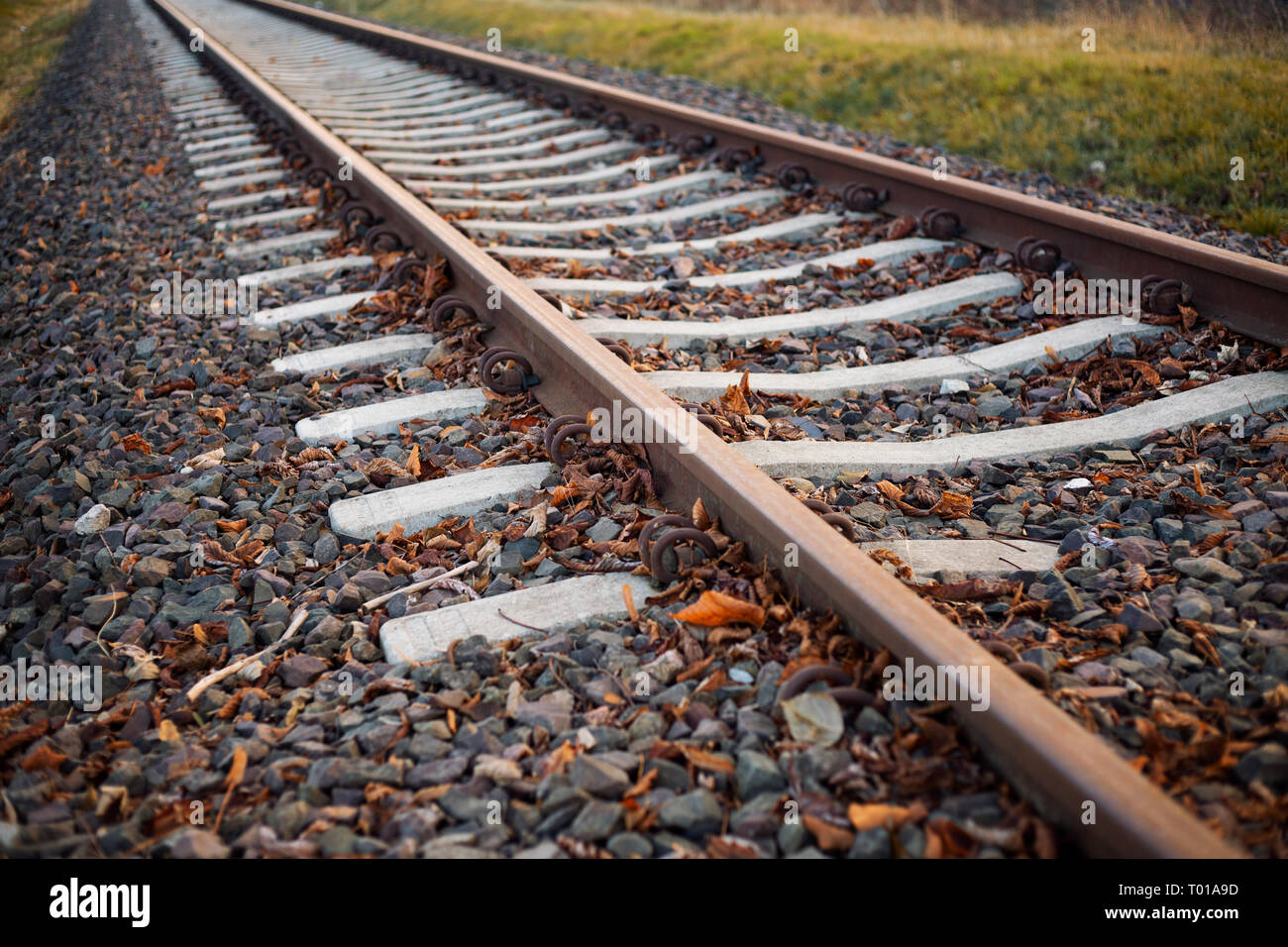 Autumn leaves on train rails hi-res stock photography and images - Alamy