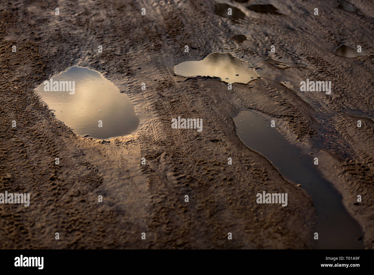 Puddles of mud hi-res stock photography and images - Alamy
