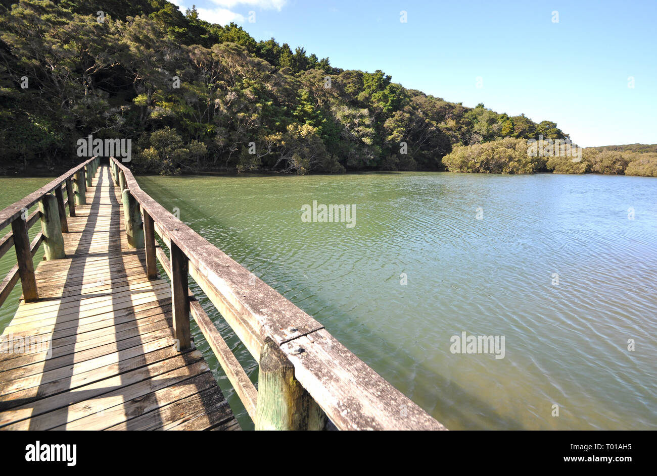 The track from the Waitangi Treaty Grounds to Haruru falls, crosses ...