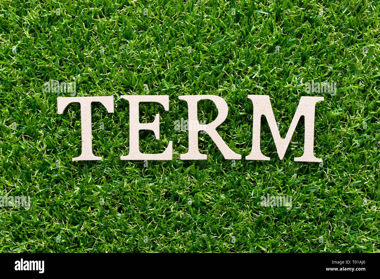 Wood alphabet in word term on artificial green grass background Stock ...
