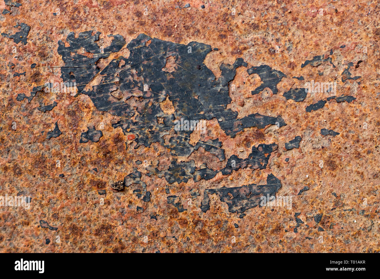 Grunge red brown rust on metallic sheet background Stock Photo - Alamy