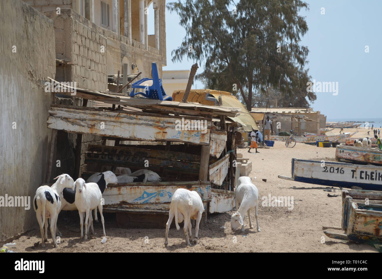 Ngaparou, a small coastal community in the Petite Cote of Senegal Stock ...