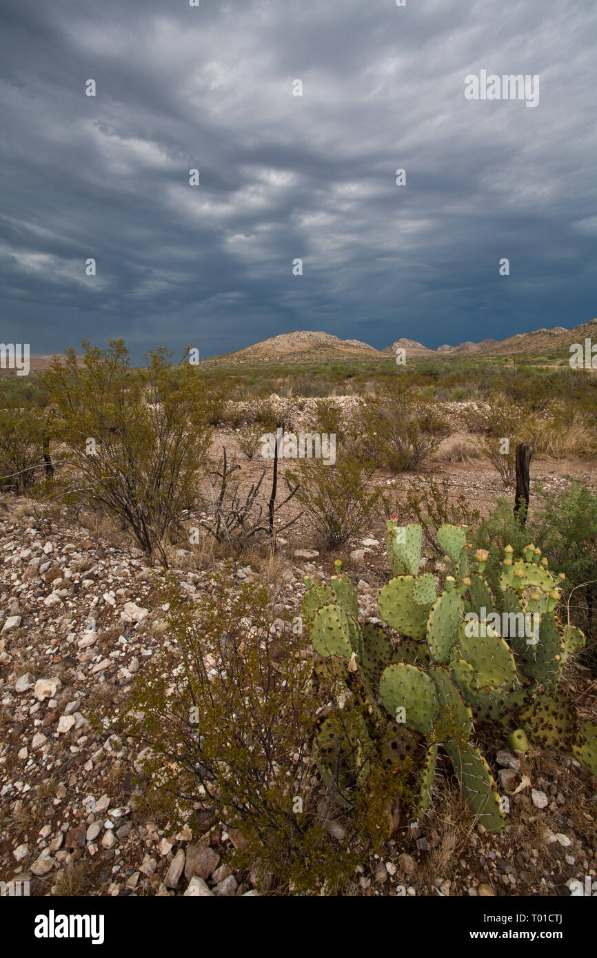 , Brewster County, Texas, USA Stock Photo - Alamy