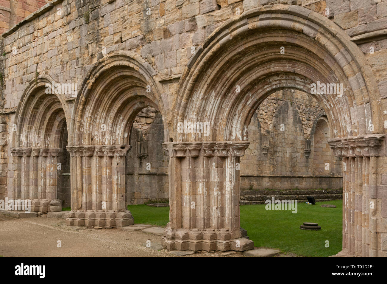 Romanesque arches at Fountains Abbey, Yorkshire Stock Photo - Alamy