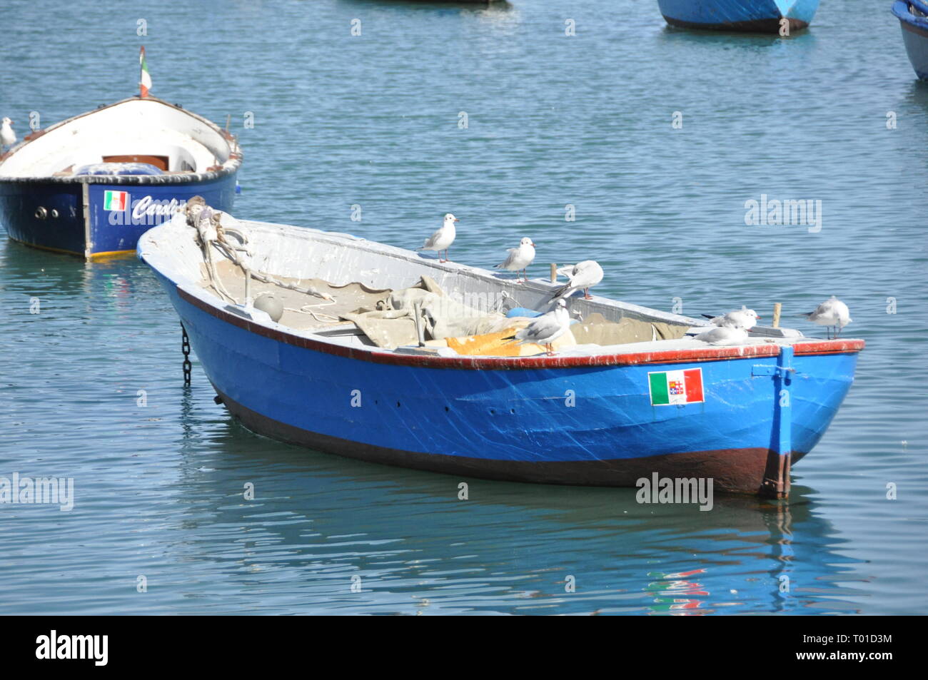 Fishing boat and gulls hi-res stock photography and images - Alamy