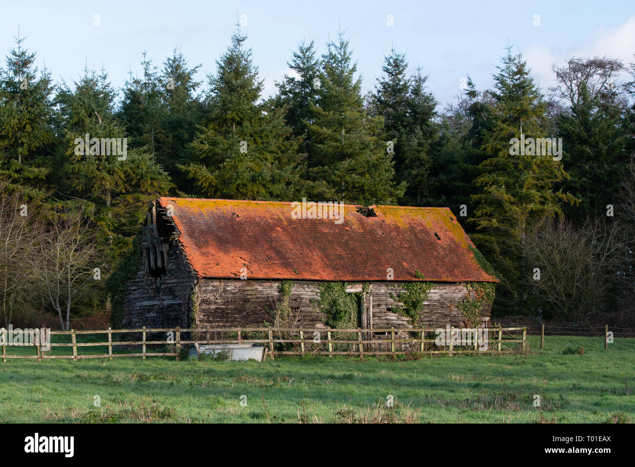 Old derelict barn in the countryside Stock Photo - Alamy
