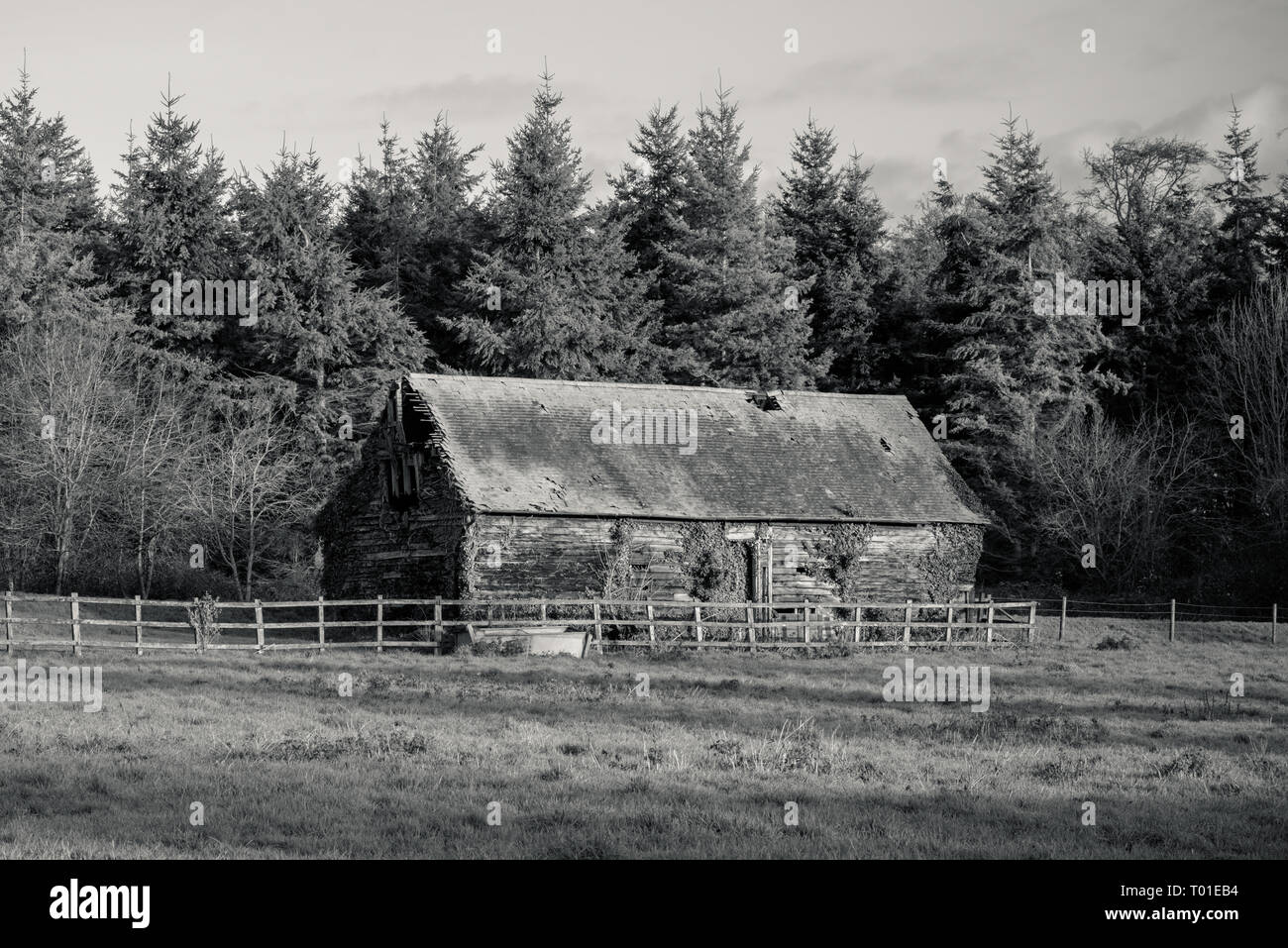 Old derelict barn in the countryside Stock Photo - Alamy