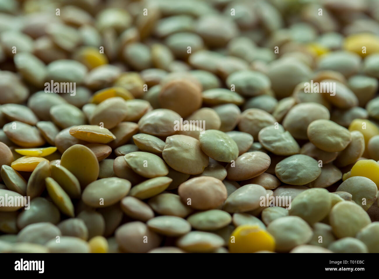 dried green lentil seeds macro Stock Photo - Alamy