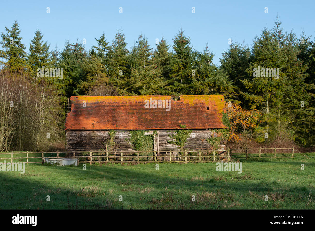 Old derelict barn in the countryside Stock Photo - Alamy