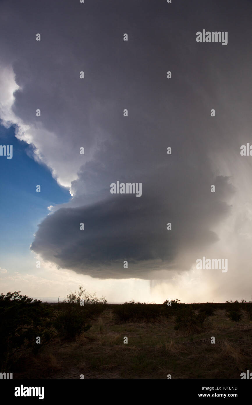 El tornillo hi-res stock photography and images - Alamy