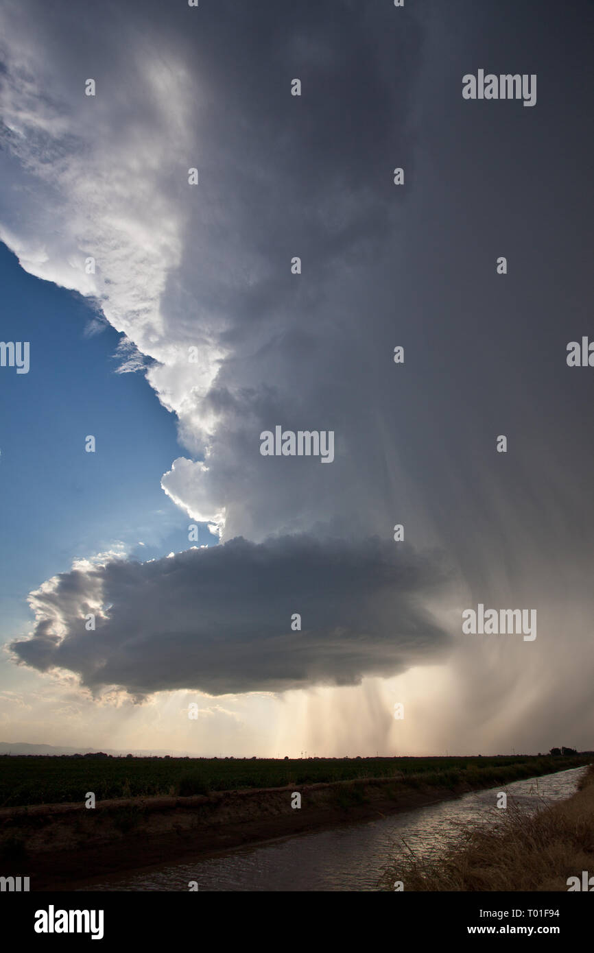 El tornillo hi-res stock photography and images - Alamy