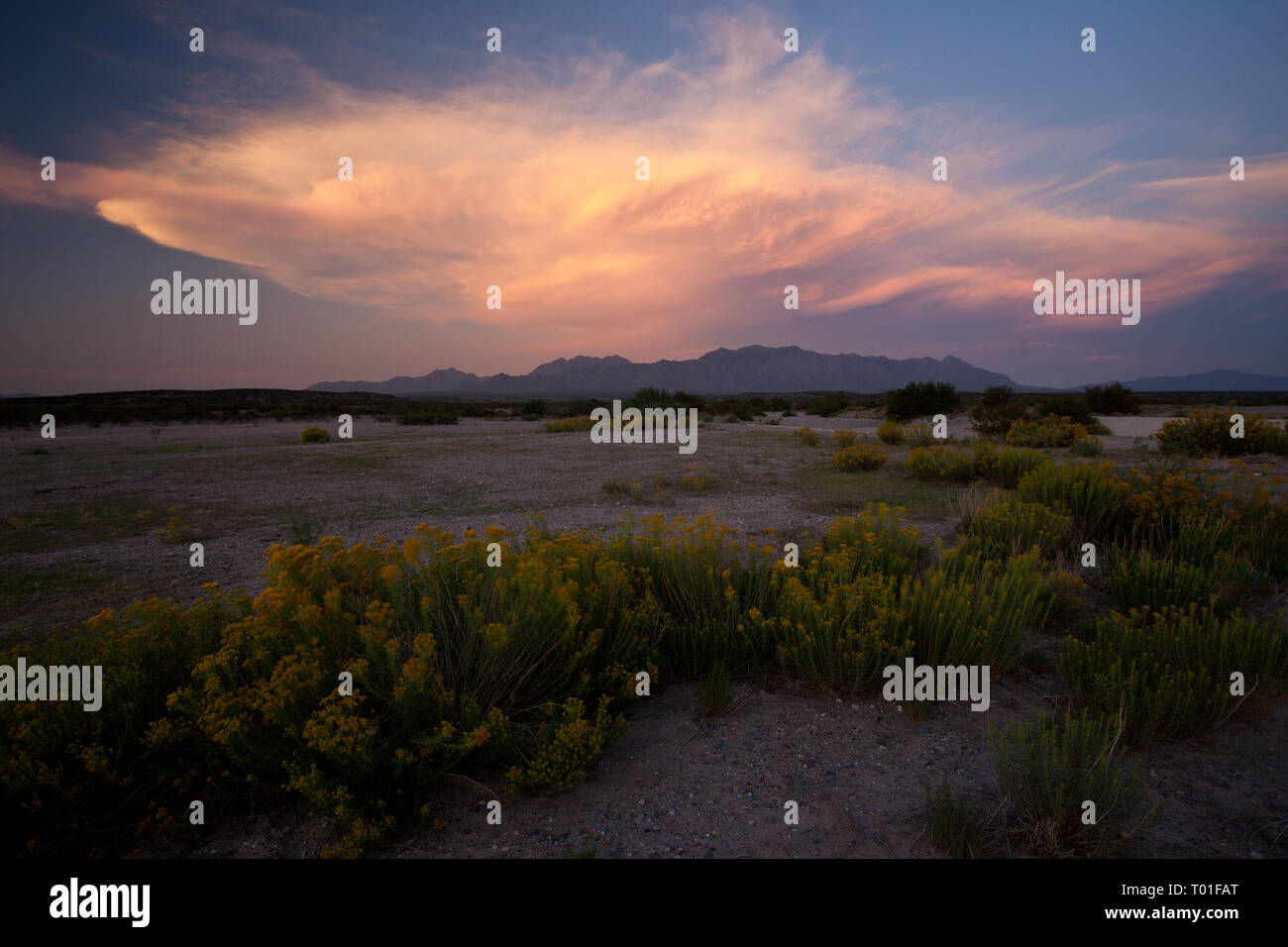 Fort Quitman, Hudspeth County, Texas, USA Stock Photo - Alamy