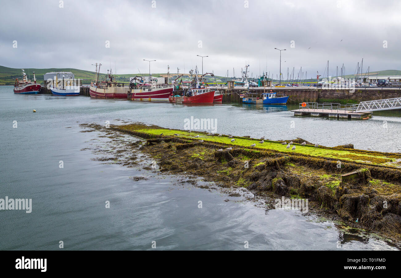 Ships at Dingle Harbour Stock Photo - Alamy