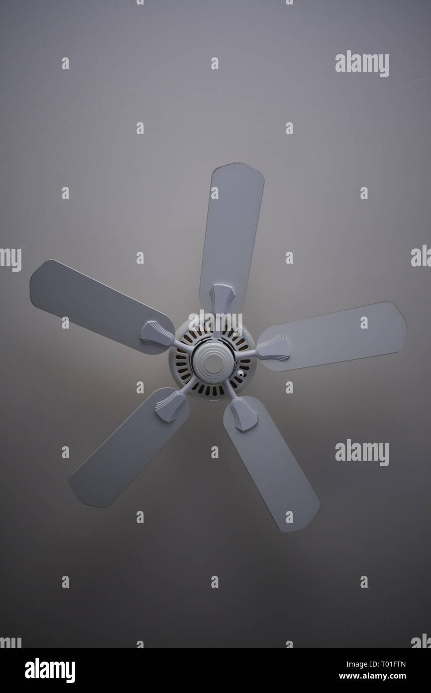 Apocalypse now fan hi-res stock photography and images - Alamy