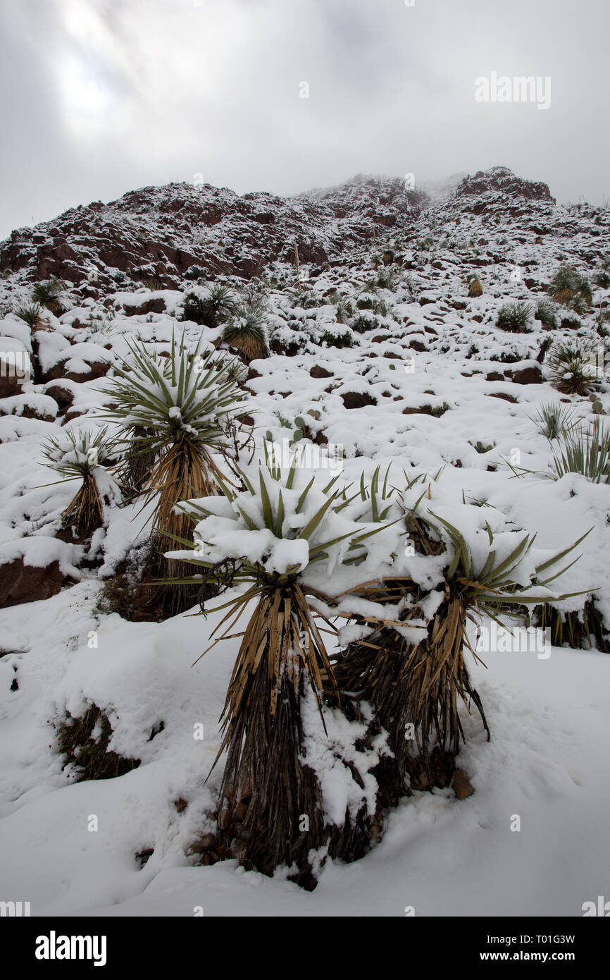 El paso texas franklin mountains hi-res stock photography and images ...