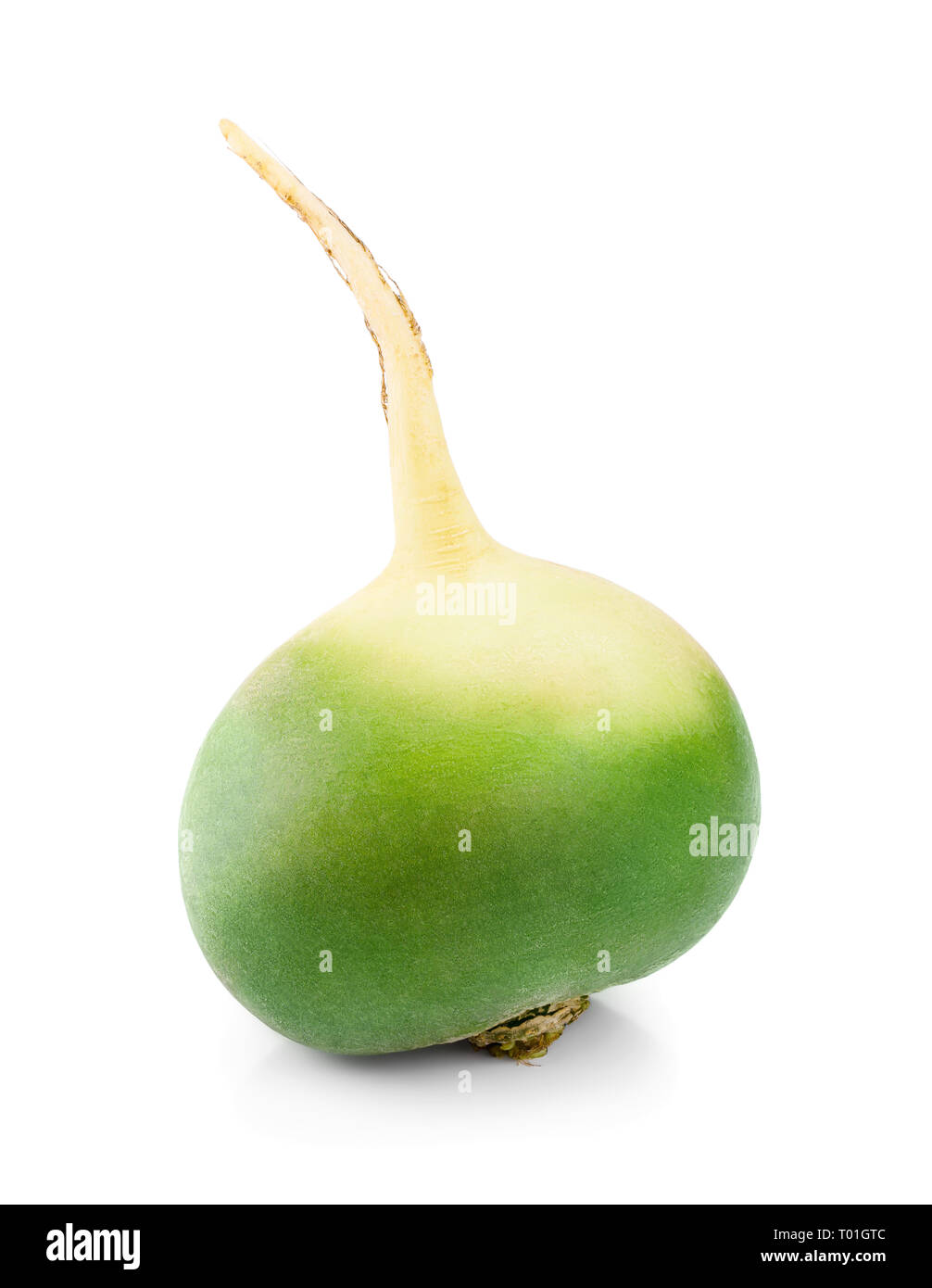 Single green radish isolated on white background Stock Photo - Alamy
