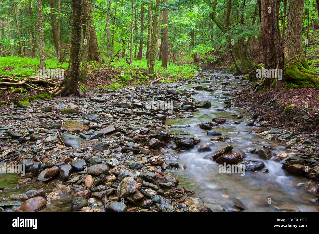 Streams And Rocks