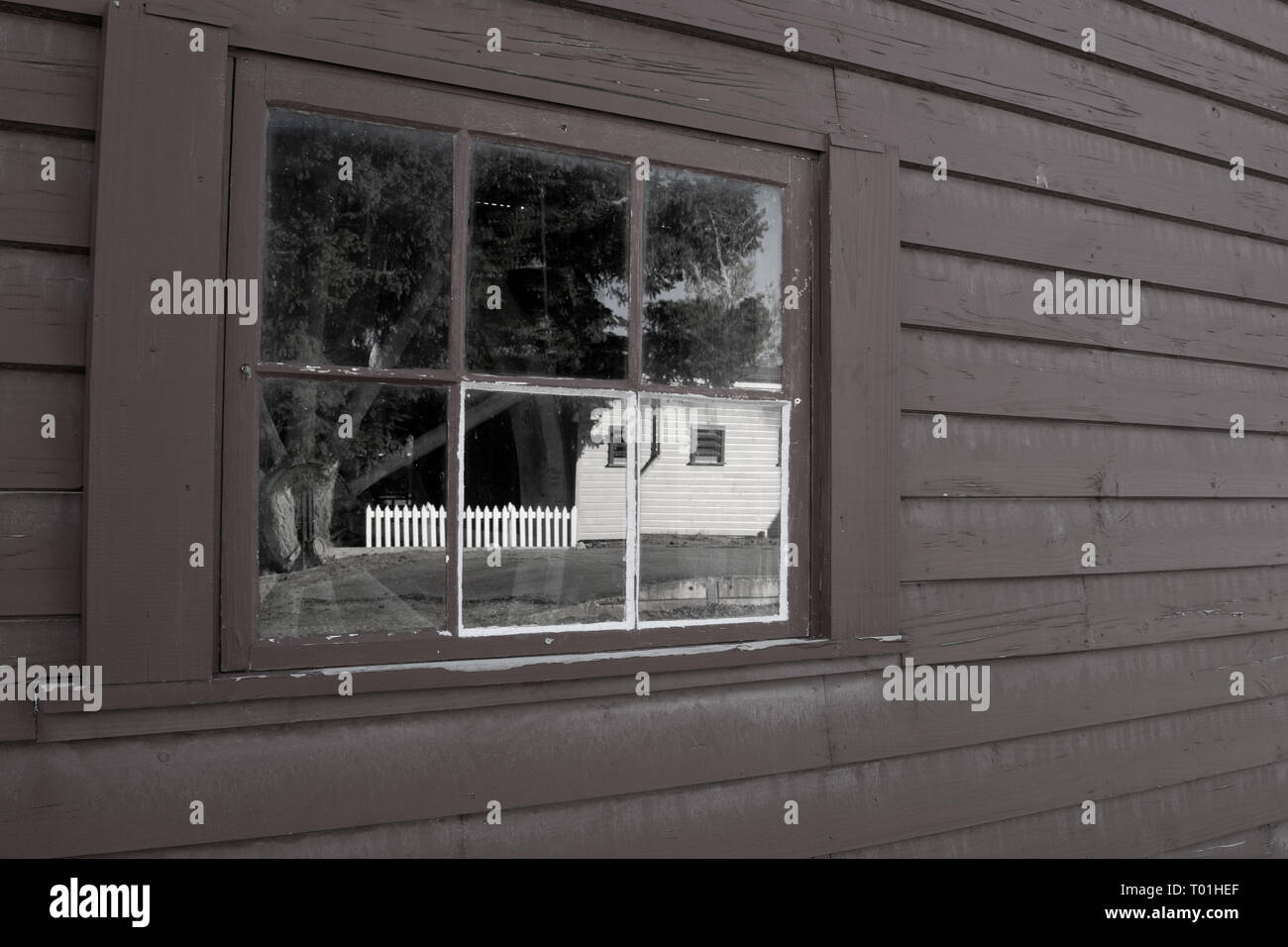 Image of backyard reflected in old panes window set in weatherboard ...