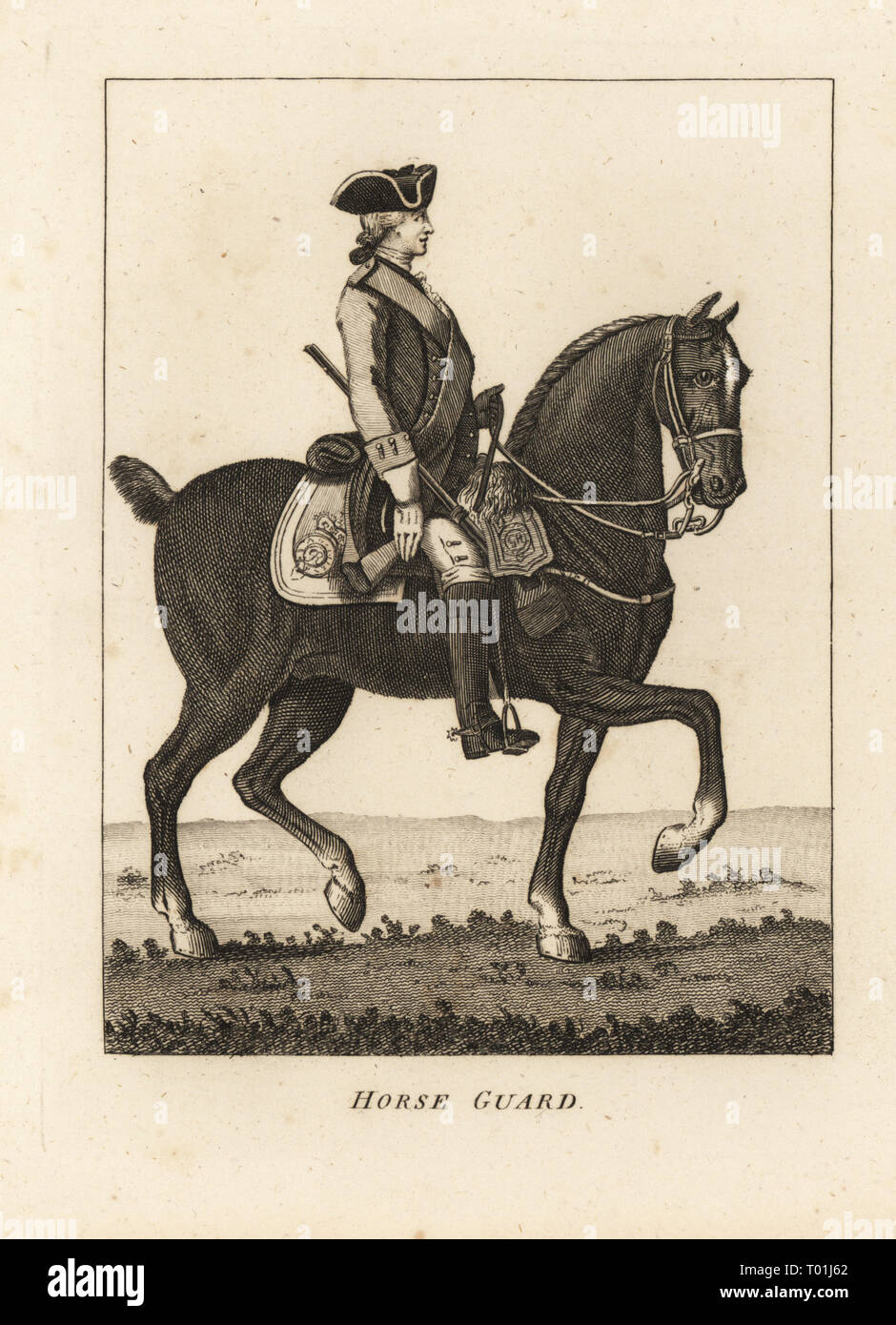 Horse Guard, in military uniform with tricorn, musket, 17th century cavalry. Copperplate ...