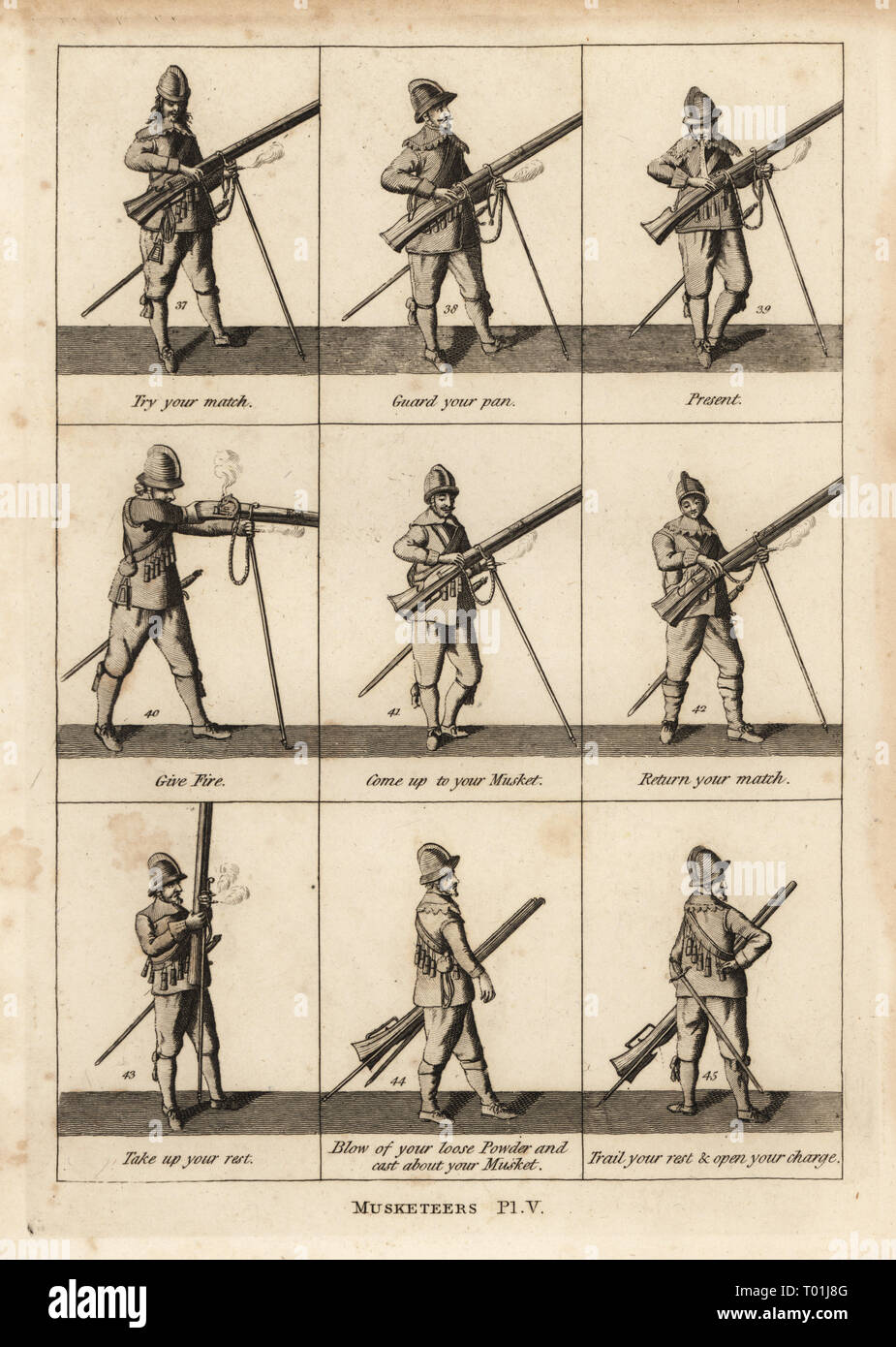 English Musketeer High Resolution Stock Photography and Images - Alamy