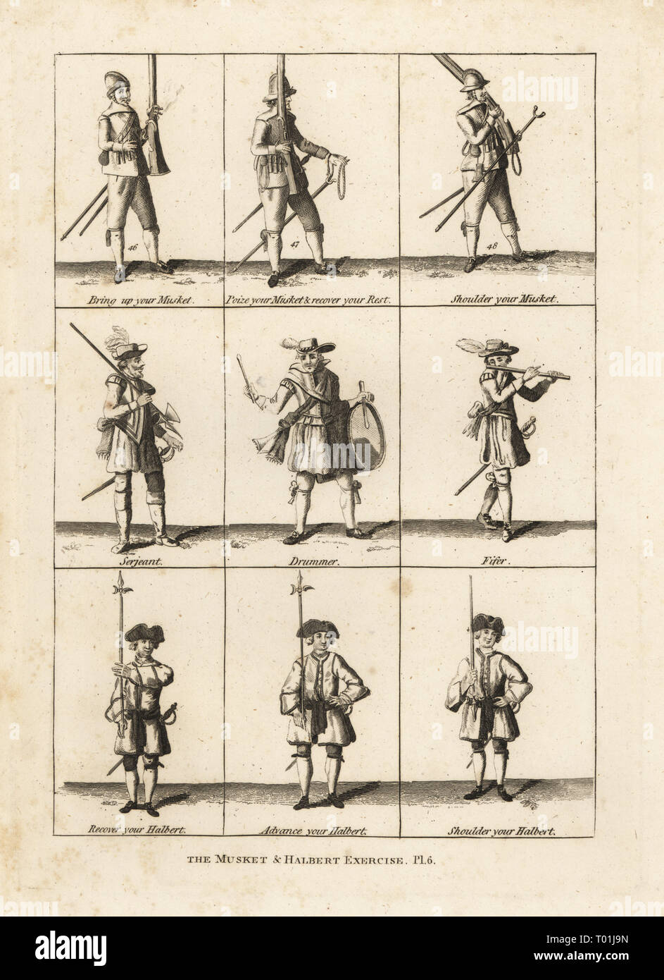 Musket and halberd exercises. Copperplate engraving from Francis Grose ...