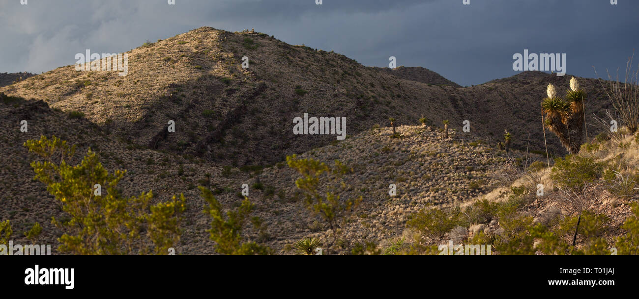 Quitman Mountains High Resolution Stock Photography and Images - Alamy