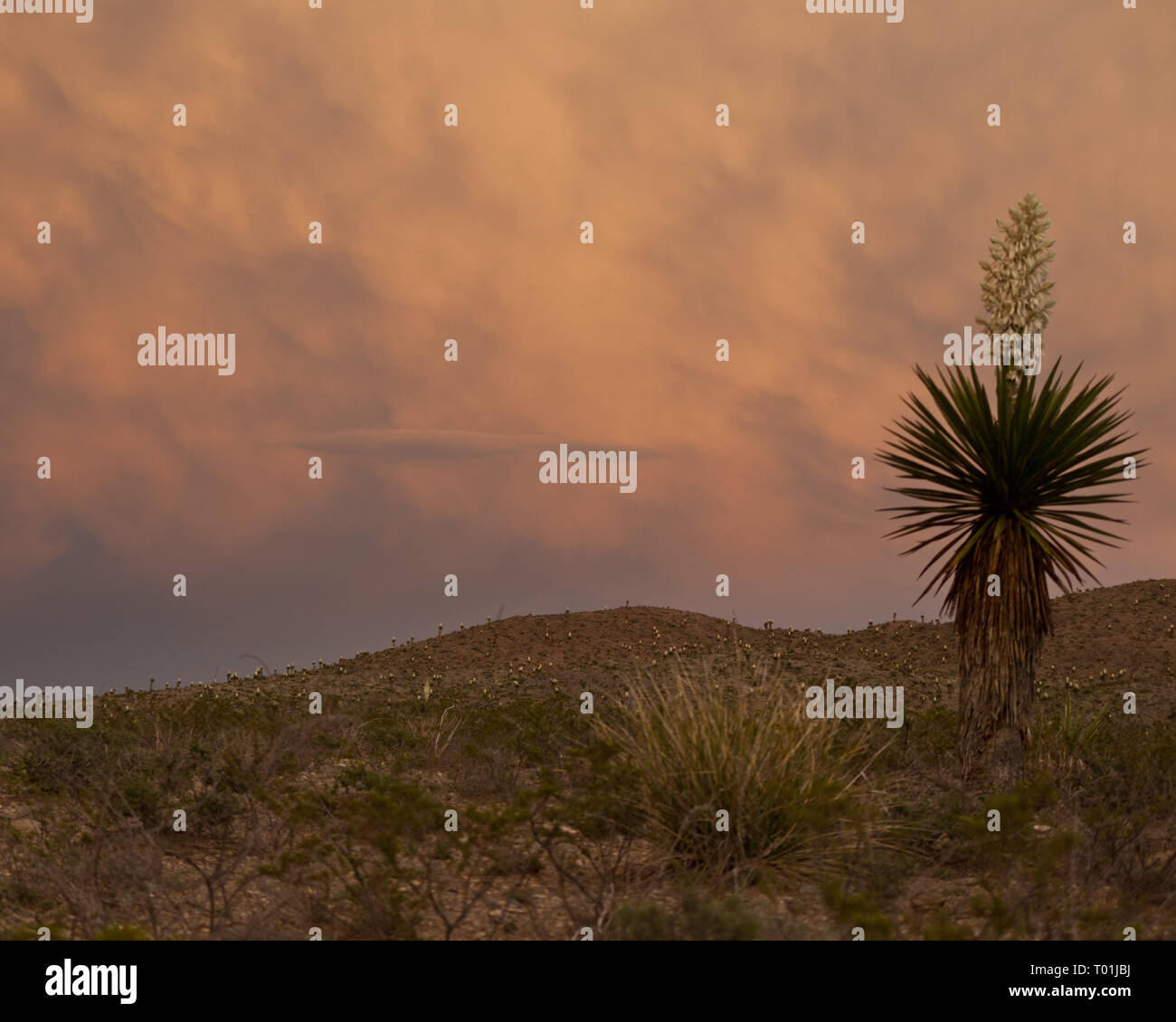 Quitman county hi-res stock photography and images - Alamy