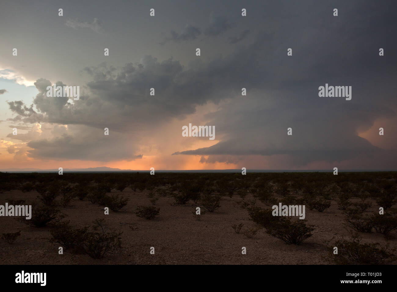 , Pecos County, Texas, USA Stock Photo - Alamy