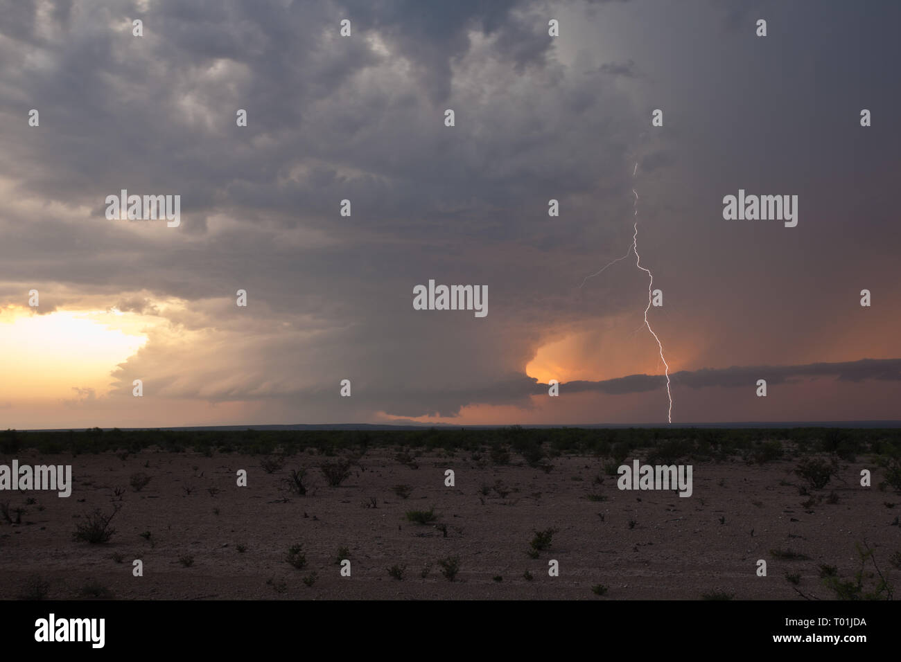 , Pecos County, Texas, USA Stock Photo - Alamy