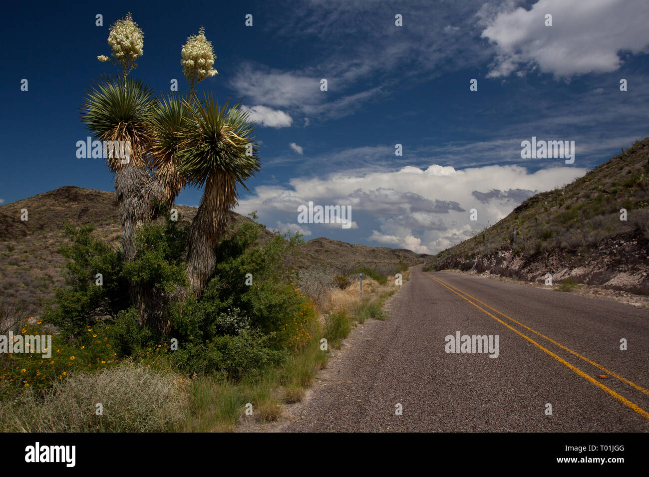 Black Gap Wildlife Management Area, Brewster County, Texas, USA Stock ...