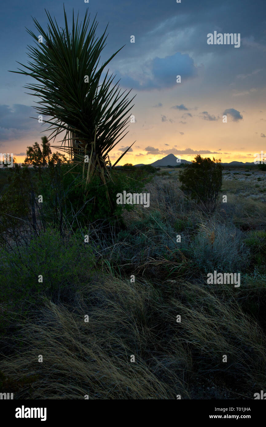 , Brewster County, Texas, USA Stock Photo - Alamy