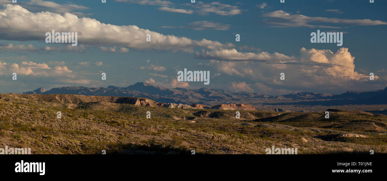Texas desert road hi-res stock photography and images - Alamy