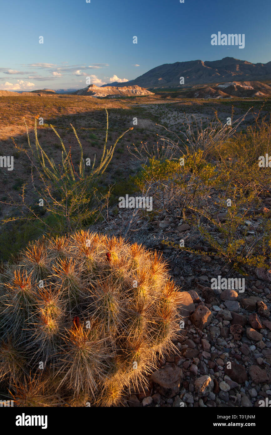 Chispa road hi-res stock photography and images - Alamy