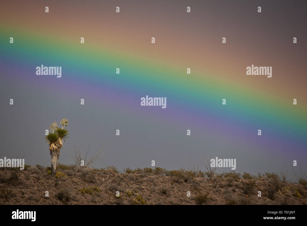 Chispa road hi-res stock photography and images - Alamy